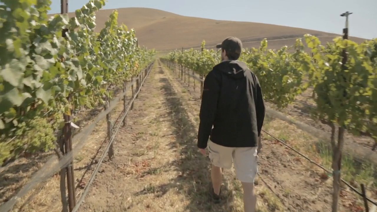 Jonathan Nagy Explains Vertical Shoot Positioning - VINTAGE 2014